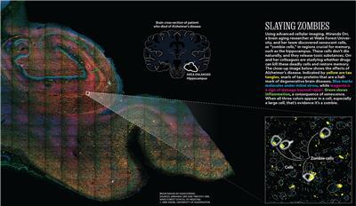National Geographic Highlights Use of the CosMx Spatial Molecular ...
