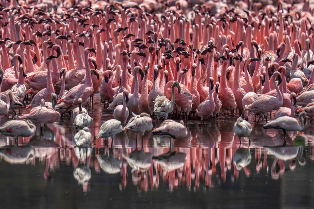 The top photos of the day by AP photojournalists - Daily Sitka Sentinel