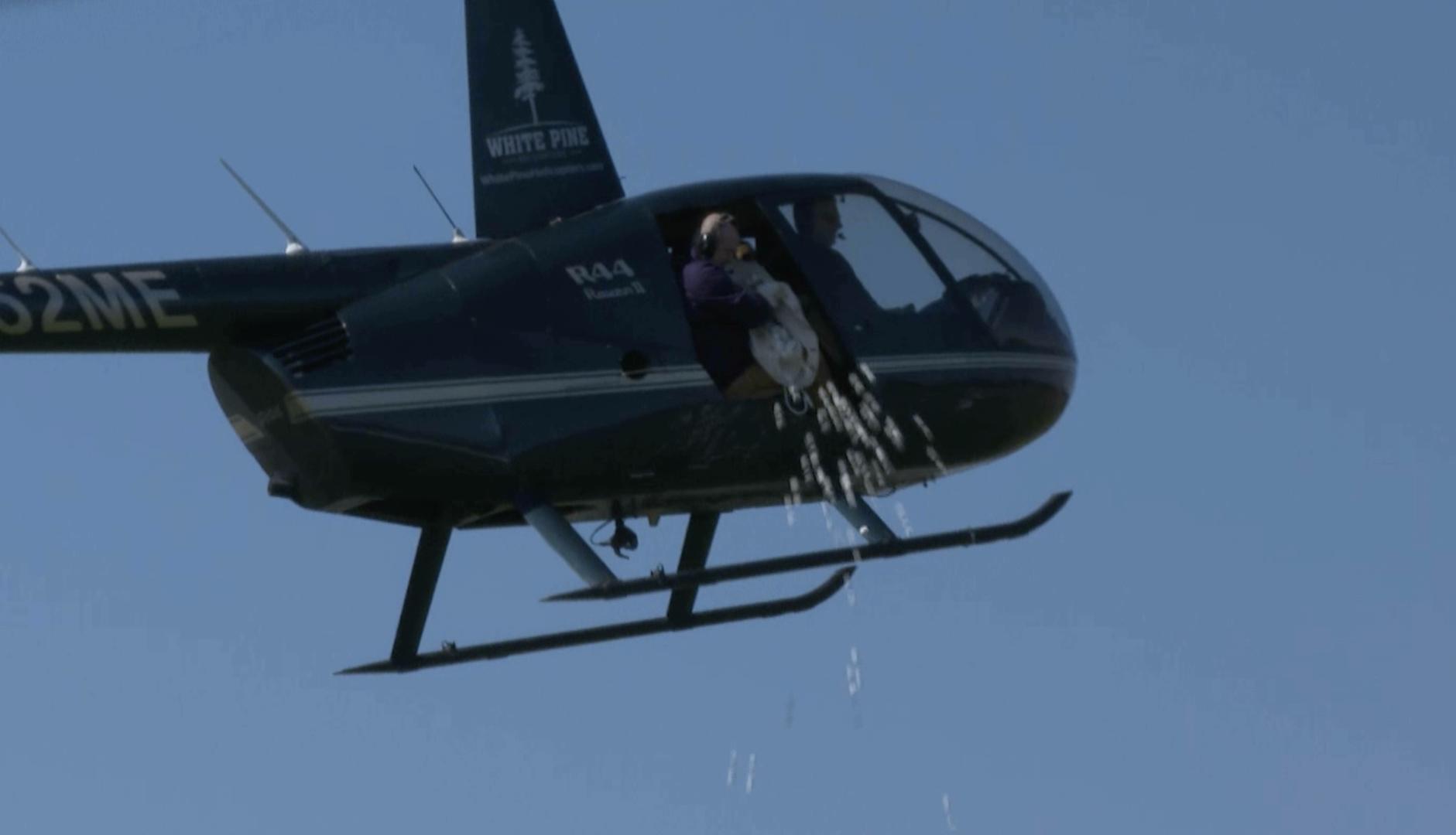 Children race to collect marshmallows dropped from a helicopter at a ...