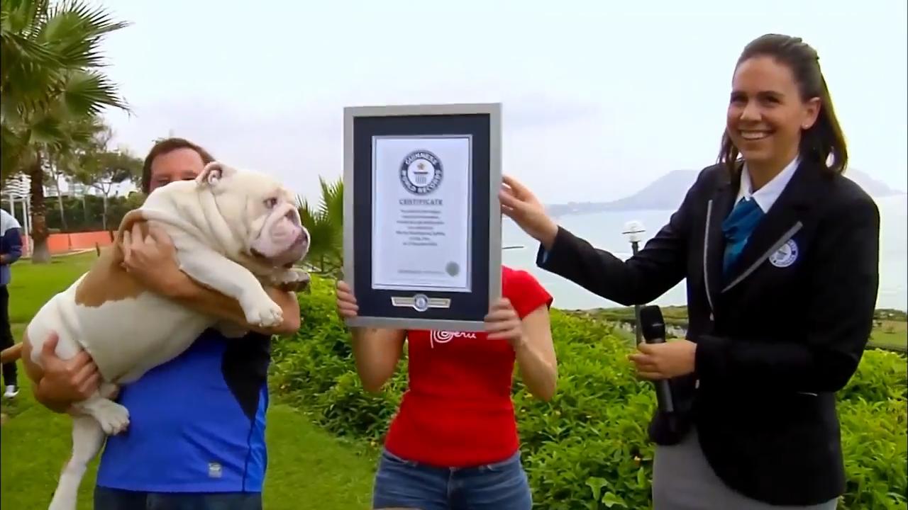 Ever dream of having an entry in the Guinness World Records? Here's how ...