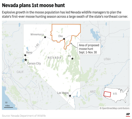 Nevada's first big-game moose hunt will be tiny as unusual southern ...