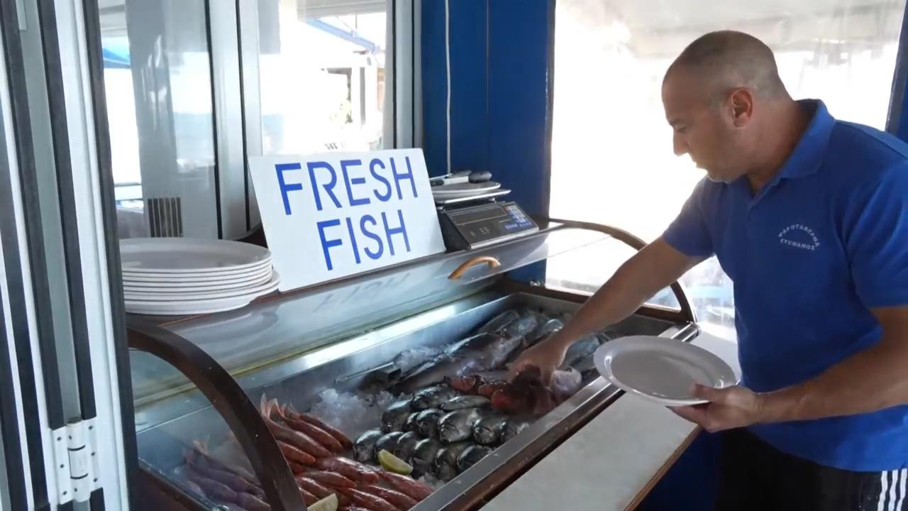 Cypriot fishermen battle invasive lionfish and turn them into a tavern ...