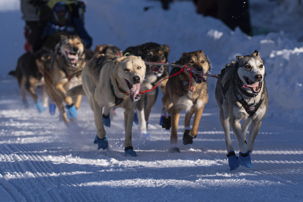 The world's most famous sled dog race is longer than ever. Here's a ...