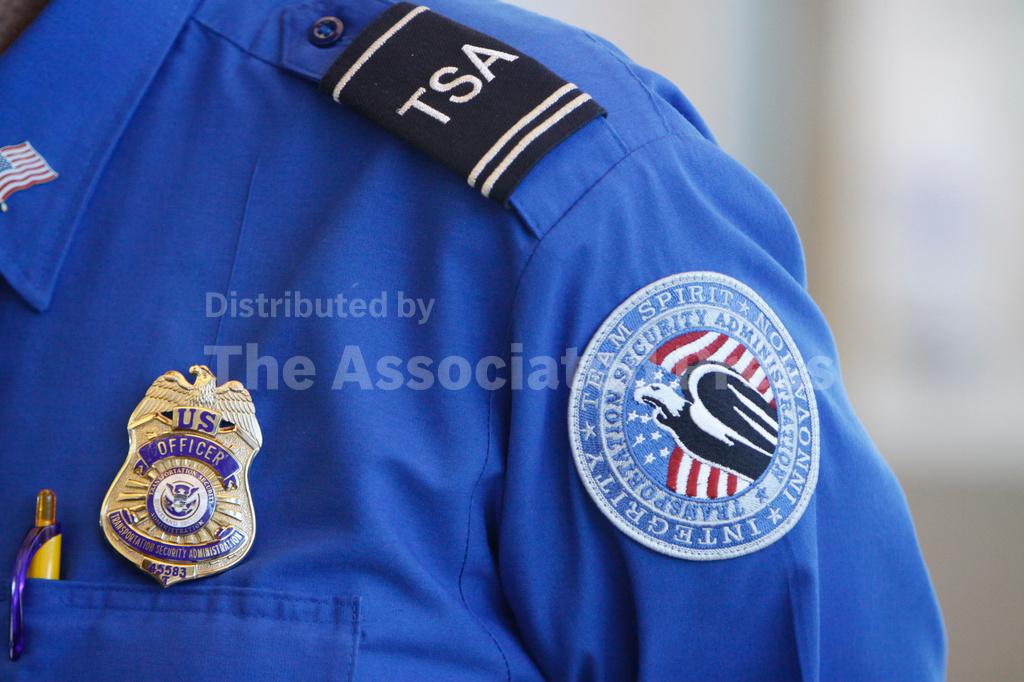 Trump nominates David Cummins to head the TSA after a rocky period for ...