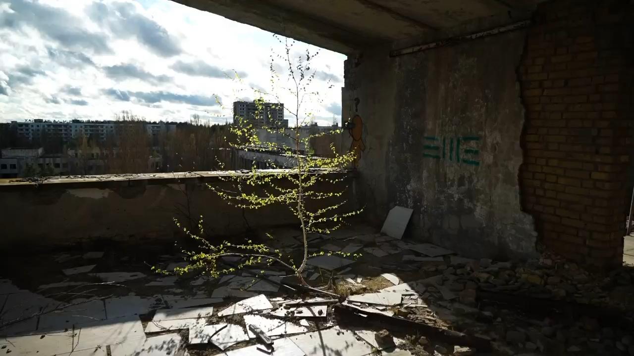 Chernobyl's radioactive landscape is testament to nature’s resilience ...