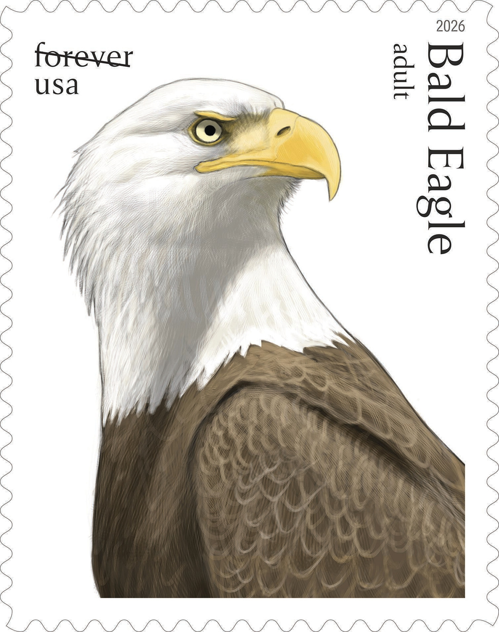 Postal Service releases special edition bald eagle stamps for America's ...